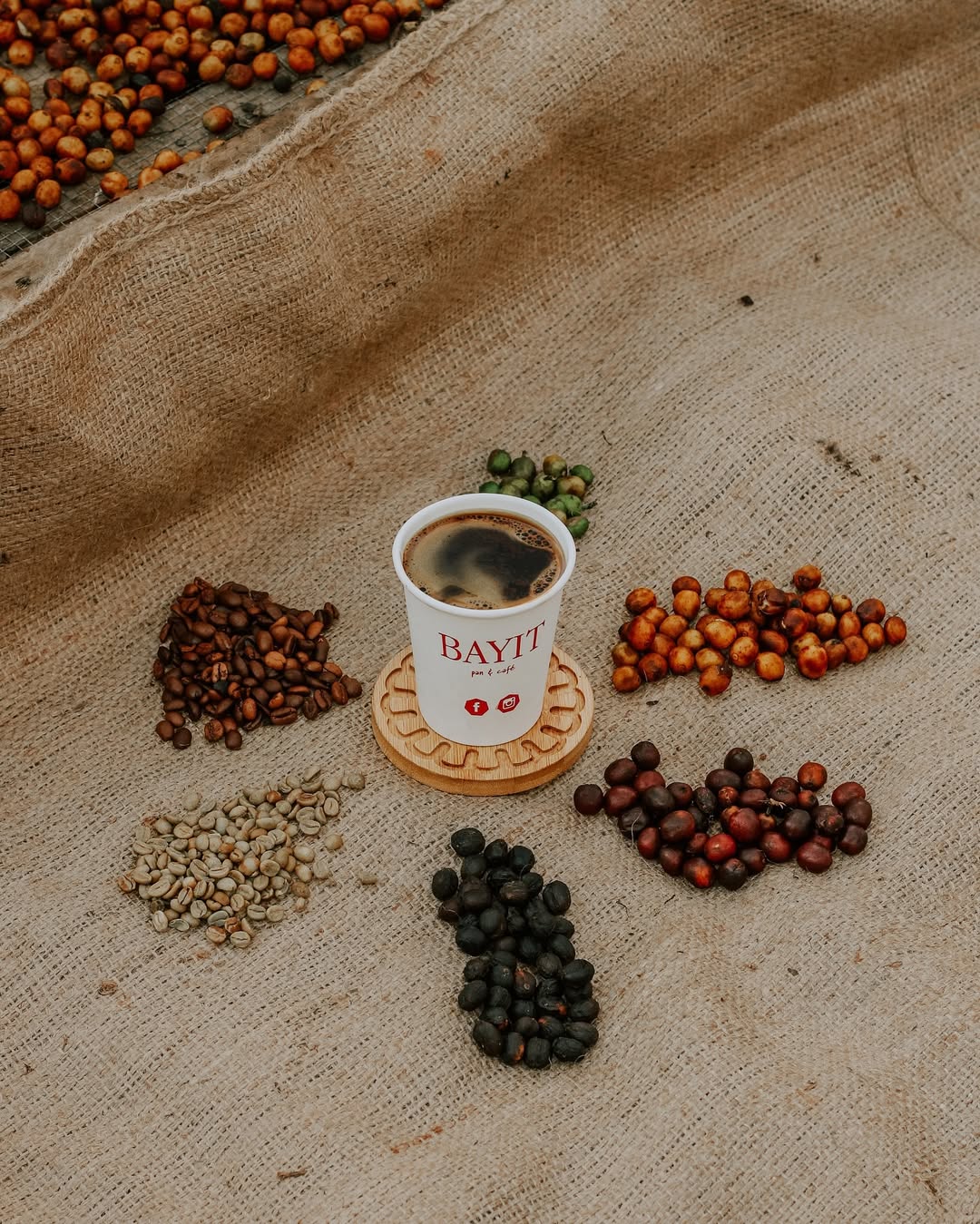 Bayit Pan y Café